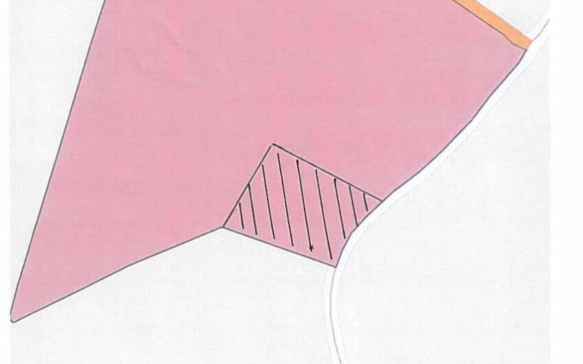 Deelis, Camp, County Kerry – DNG WH Giles Tralee